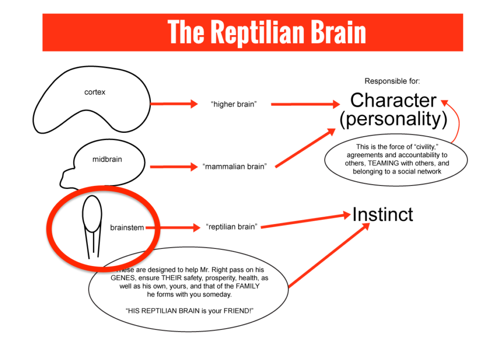 Reptilian Brain